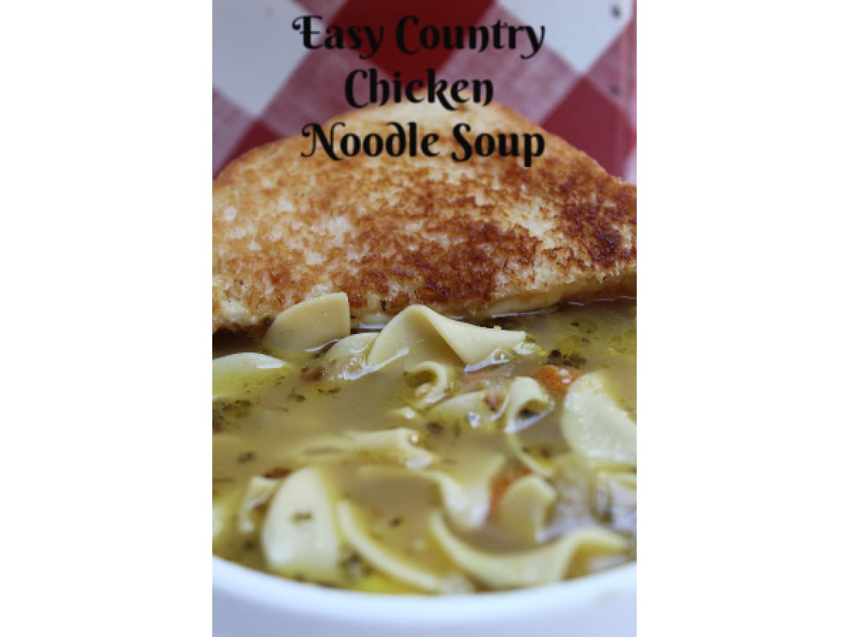 Easy Country Chicken Noodle Soup - We Dish It Up