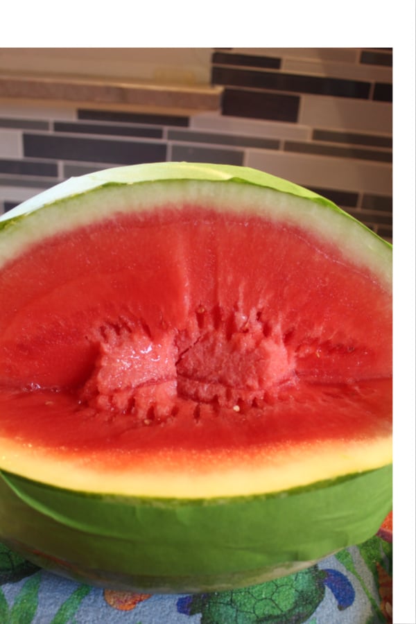 Watermelon Fruit Basket Watermelon Fruit Basket We Dish It Up