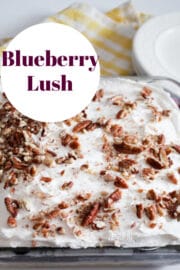 The Ultimate Blueberry Lush The Ultimate Blueberry Lush