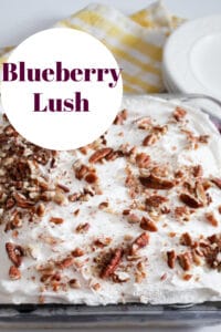 The Ultimate Blueberry Lush The Ultimate Blueberry Lush